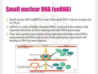 RNA structure | PPT