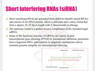 RNA structure | PPT