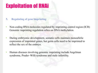 RNA structure | PPT