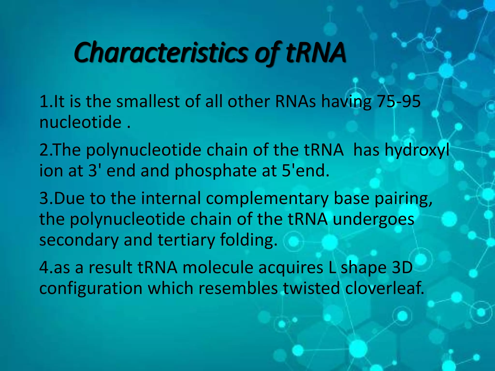 RNA_ Structure-WPS Office.pptx