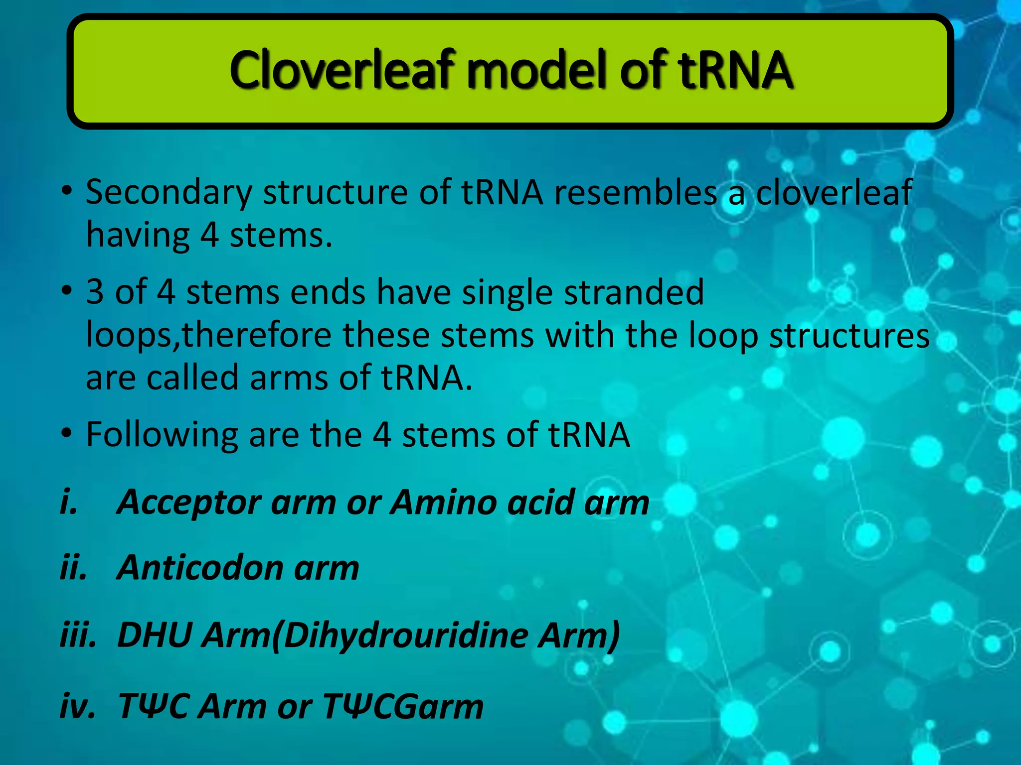 RNA_ Structure-WPS Office.pptx