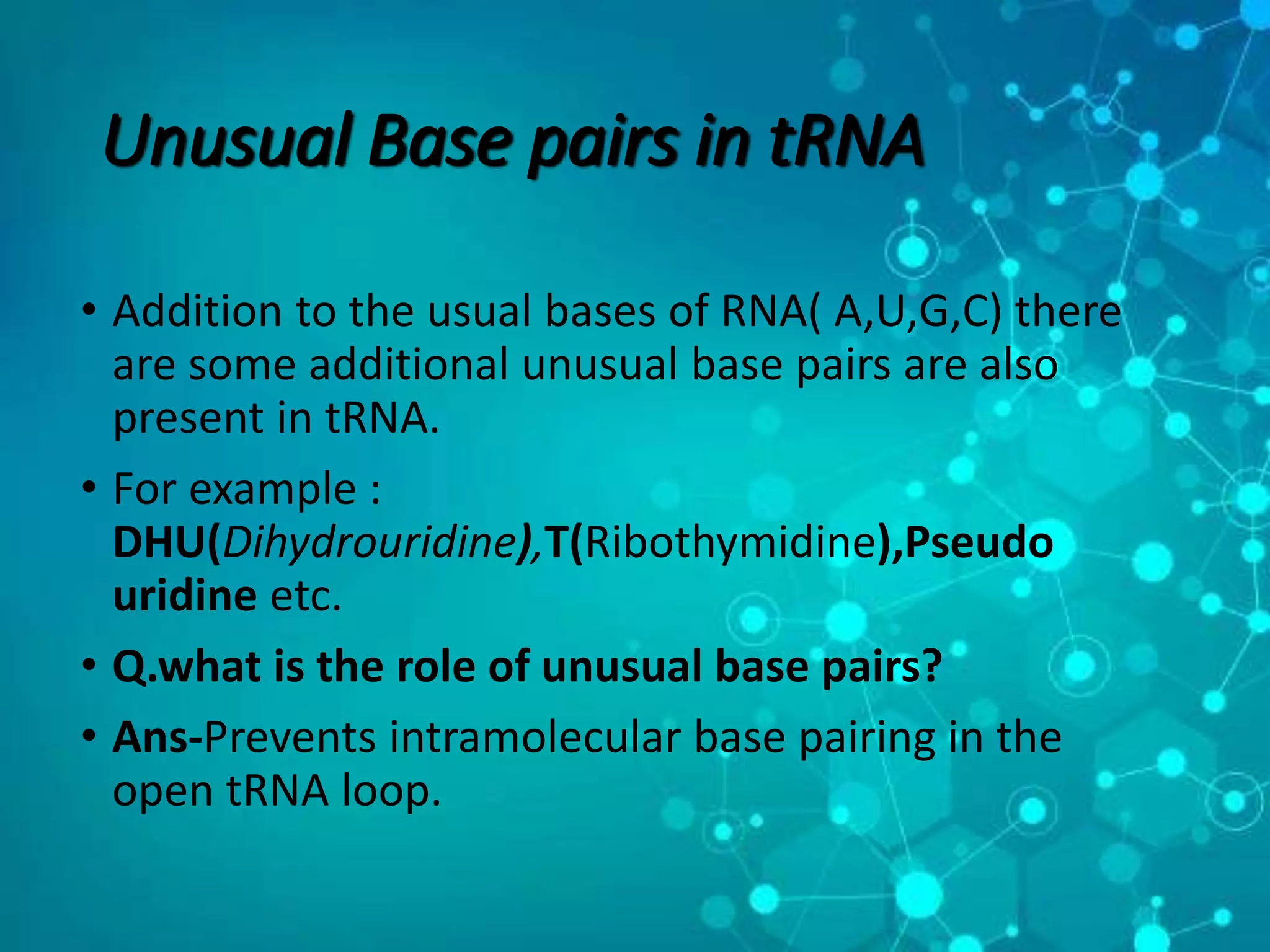 RNA_ Structure-WPS Office.pptx