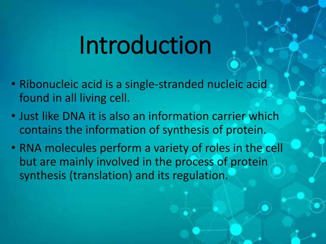 RNA_ Structure-WPS Office.pptx