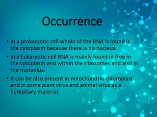 RNA_ Structure-WPS Office.pptx