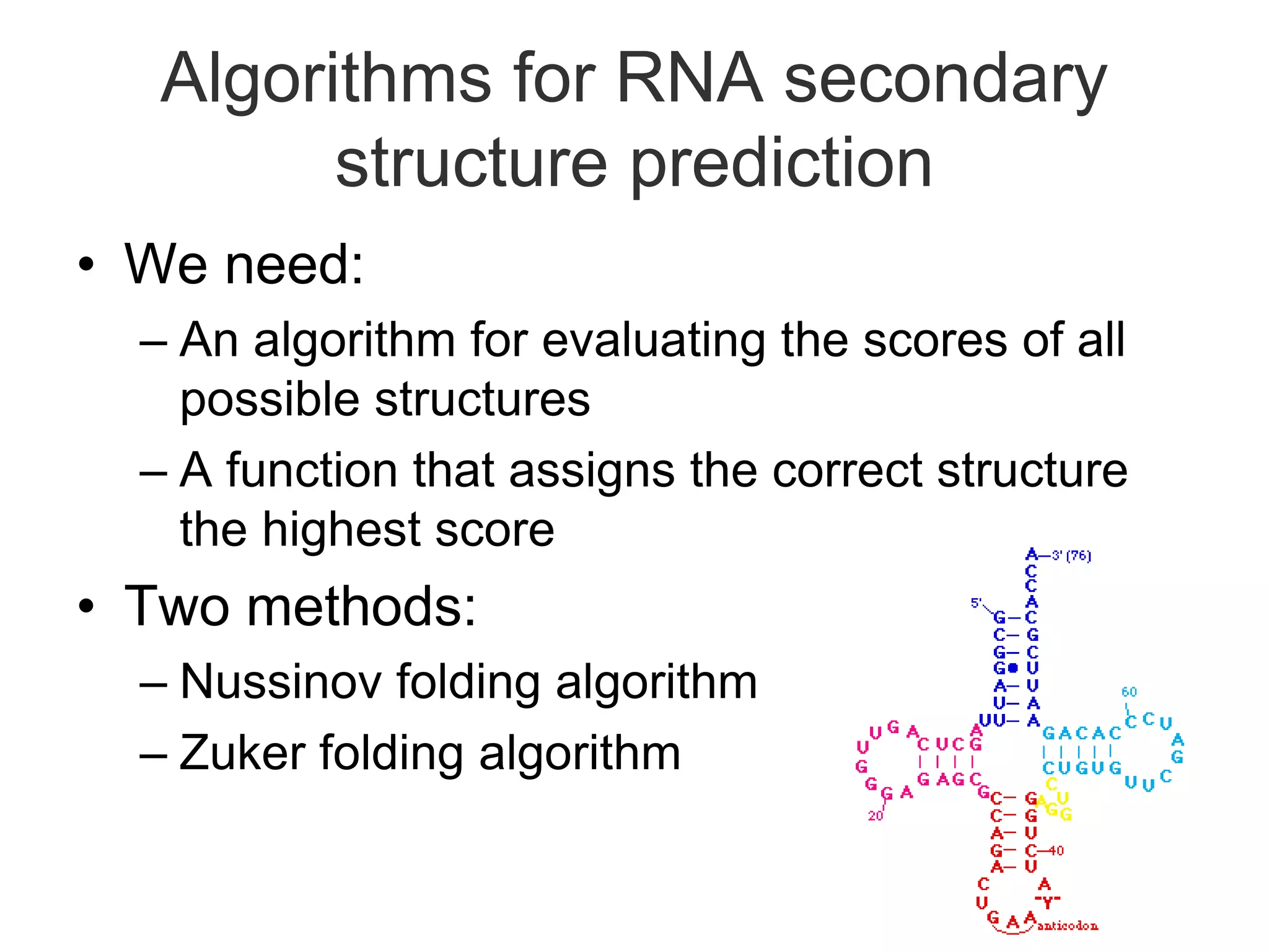 RNA structure analysis | PPT