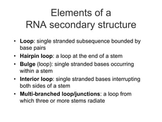 RNA structure analysis | PPT