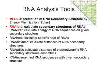RNA structure analysis | PPT