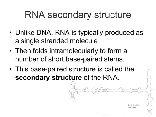 RNA structure analysis | PPT | Programming Languages | Computing