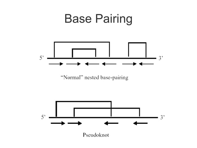 RNA structure analysis | PPT | Programming Languages | Computing