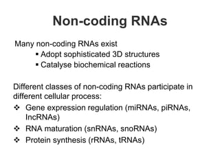 RNA structure analysis | PPT