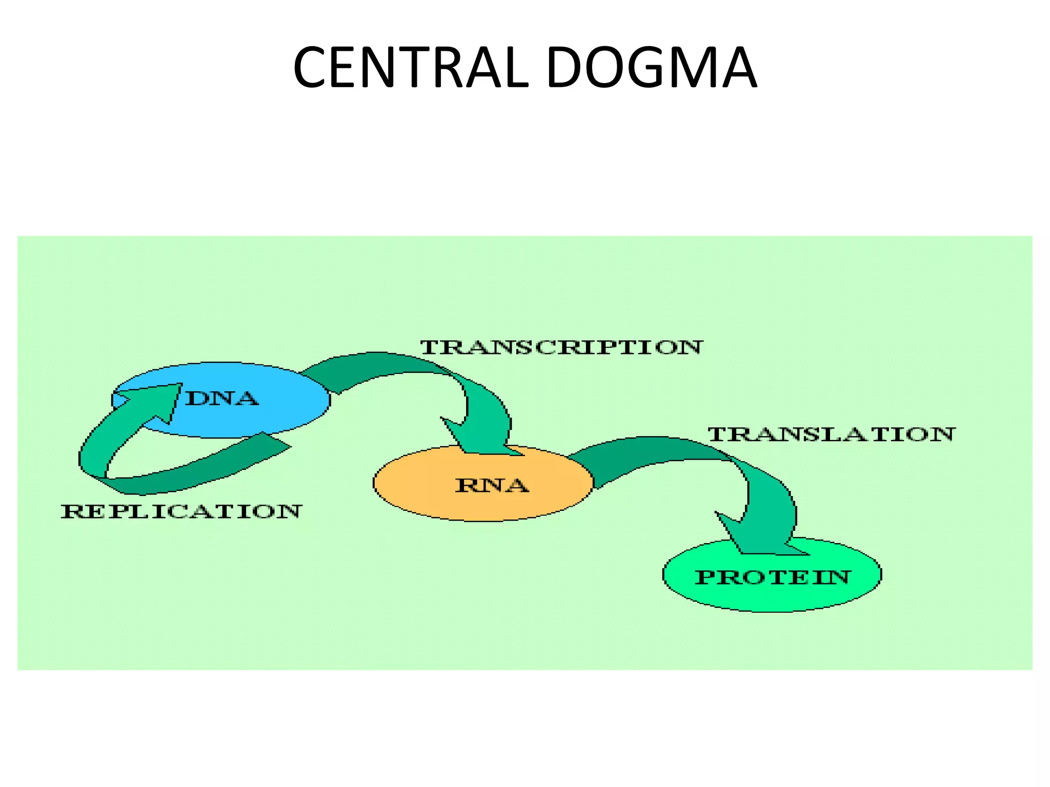 Rna Structure And Function Ppt