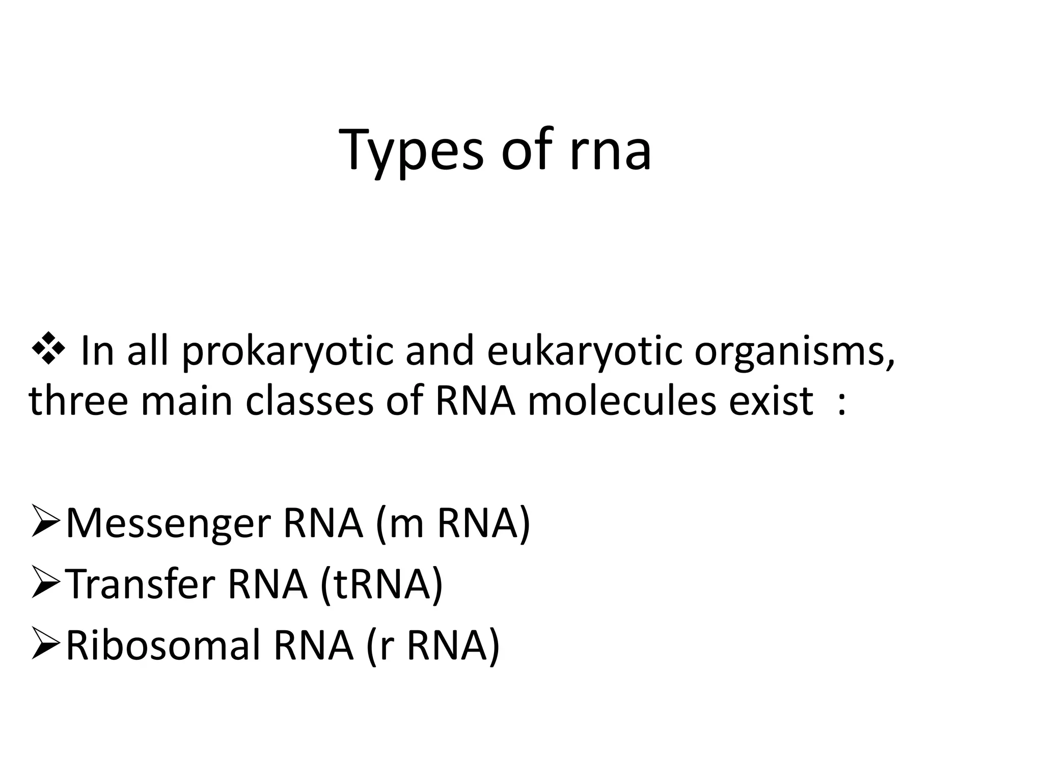 Rna structure and function | PPTX