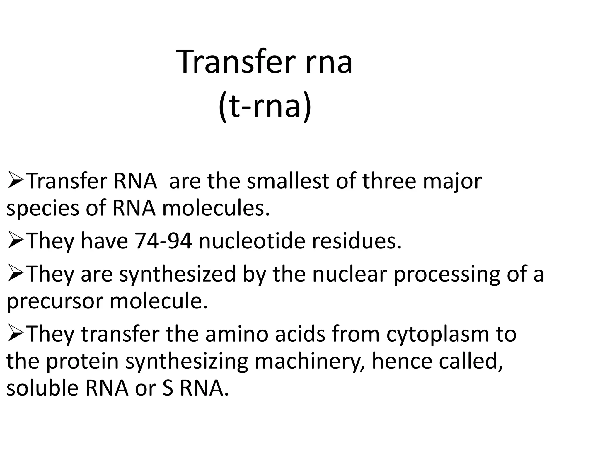 Rna structure and function | PPTX