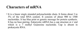 RNA STRUCTURE, FUNCTION AND TYPES. . pptx | PPTX
