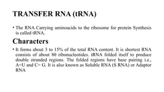 RNA STRUCTURE, FUNCTION AND TYPES. . pptx | PPTX