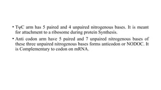 RNA STRUCTURE, FUNCTION AND TYPES. . pptx | PPTX