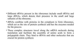 RNA STRUCTURE, FUNCTION AND TYPES. . pptx | PPTX