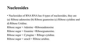 RNA STRUCTURE, FUNCTION AND TYPES. . pptx | PPTX