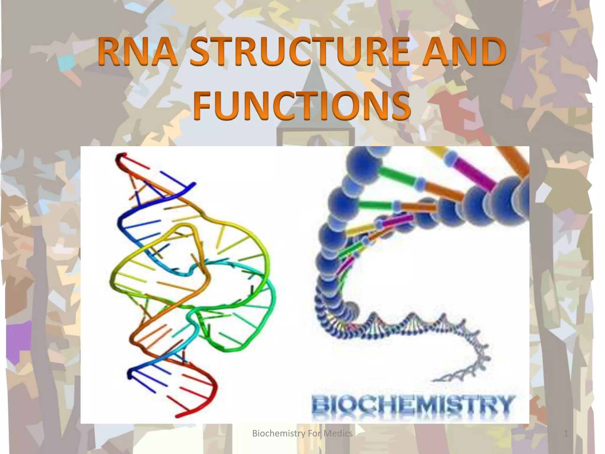Rna Structures Types And Functions Ppt Free Download