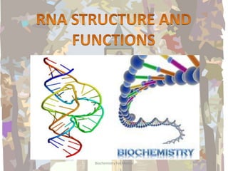 RNA Structures, Types and Functions | PPTX