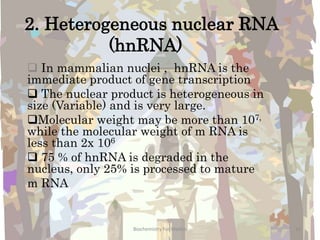 RNA Structures, Types and Functions | PPTX