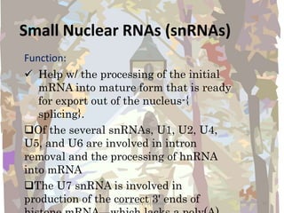 RNA Structures, Types and Functions | PPTX