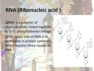 RNA Structures, Types and Functions | PPTX