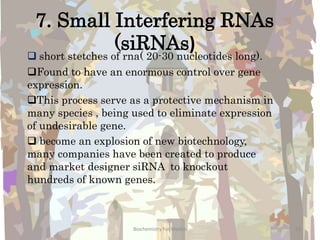 RNA Structures, Types and Functions | PPTX