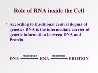 RNA switches, their functions and role in biology | PPT