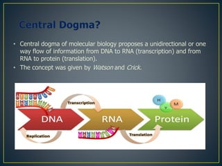 Rna synthesis | PPTX