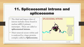 RNA SYNTHESIS AND SPLICING "biochemistry | PPTX