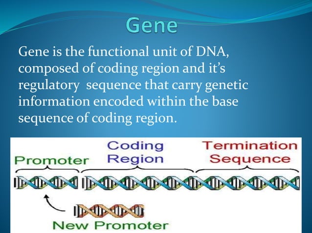 RNA synthesis, processing and modification.pptx | Chemistry | Science