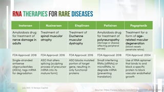 RNA Technologies in Life Sciences | PDF