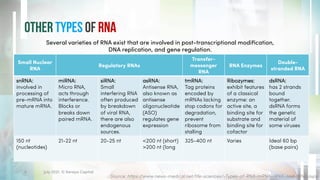 RNA Technologies in Life Sciences | PDF