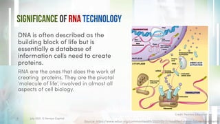 RNA Technologies in Life Sciences | PDF