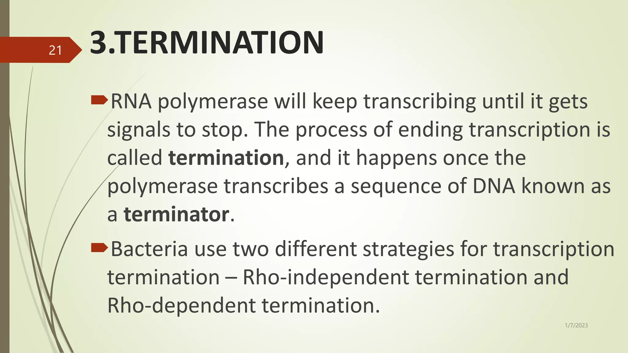 RNA TRANSCRIPTION AND PROCESSING,.pptx