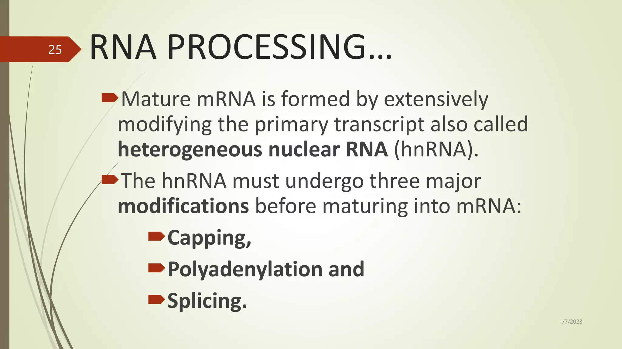 RNA TRANSCRIPTION AND PROCESSING,.pptx