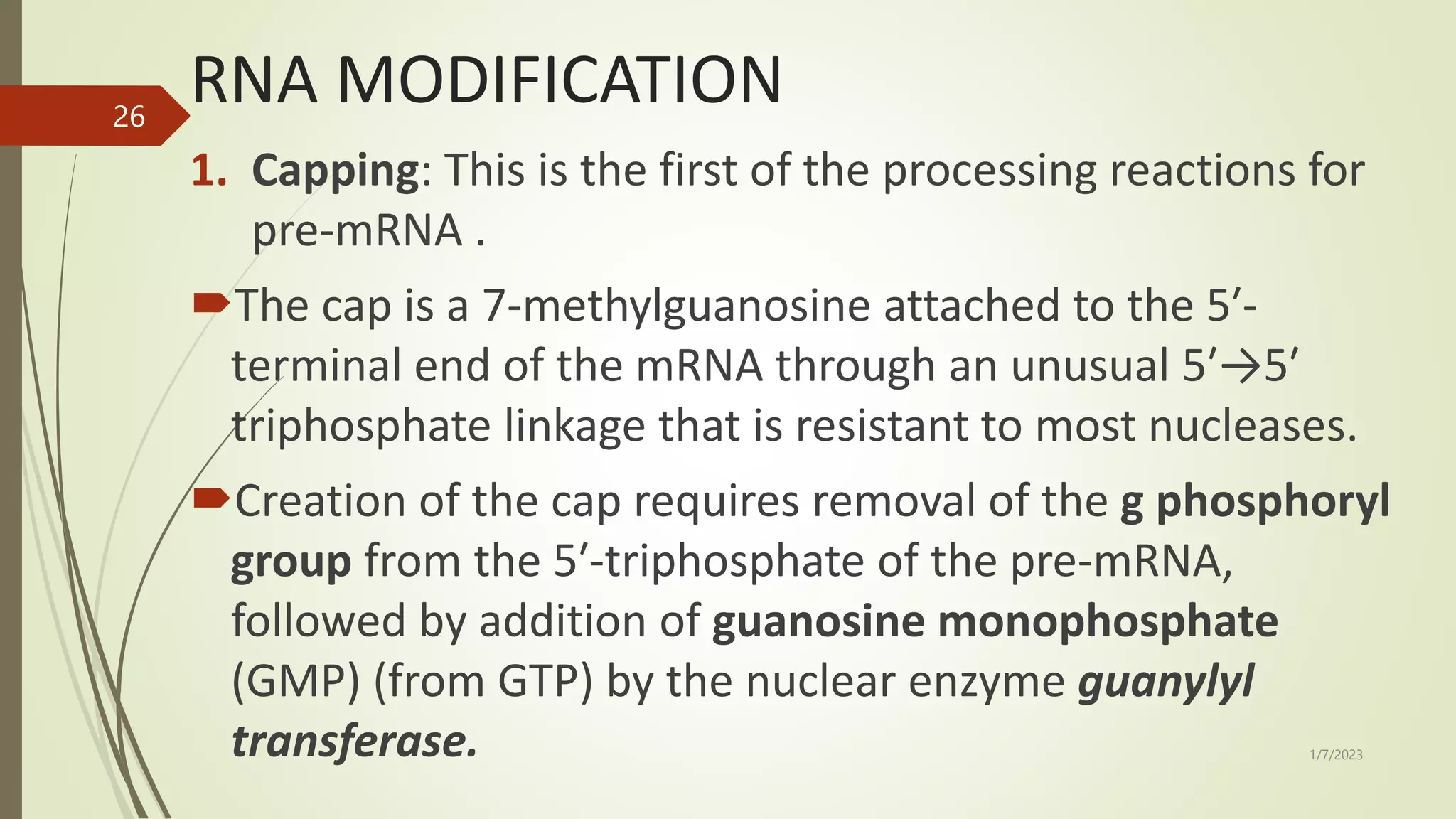 RNA TRANSCRIPTION AND PROCESSING,.pptx