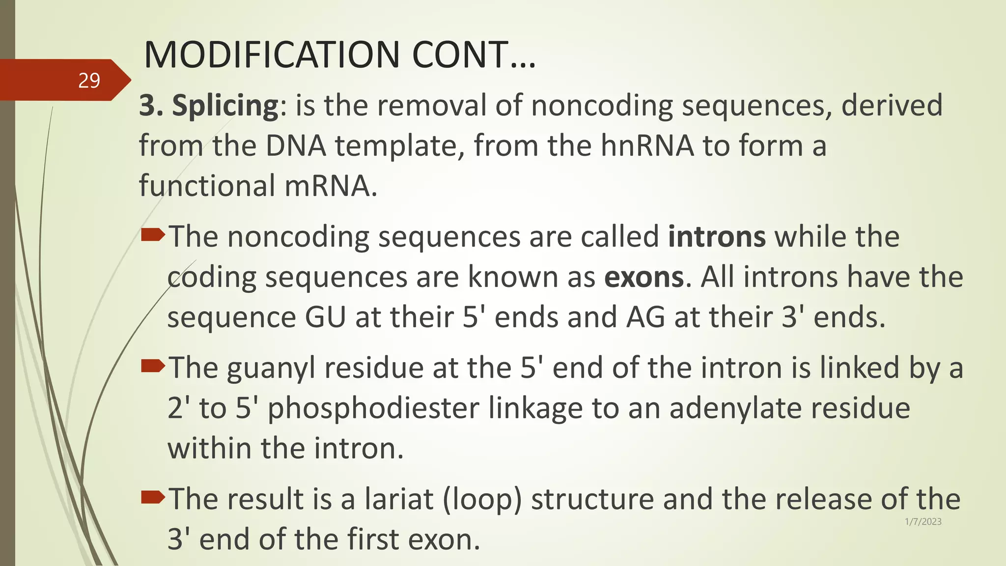 RNA TRANSCRIPTION AND PROCESSING,.pptx