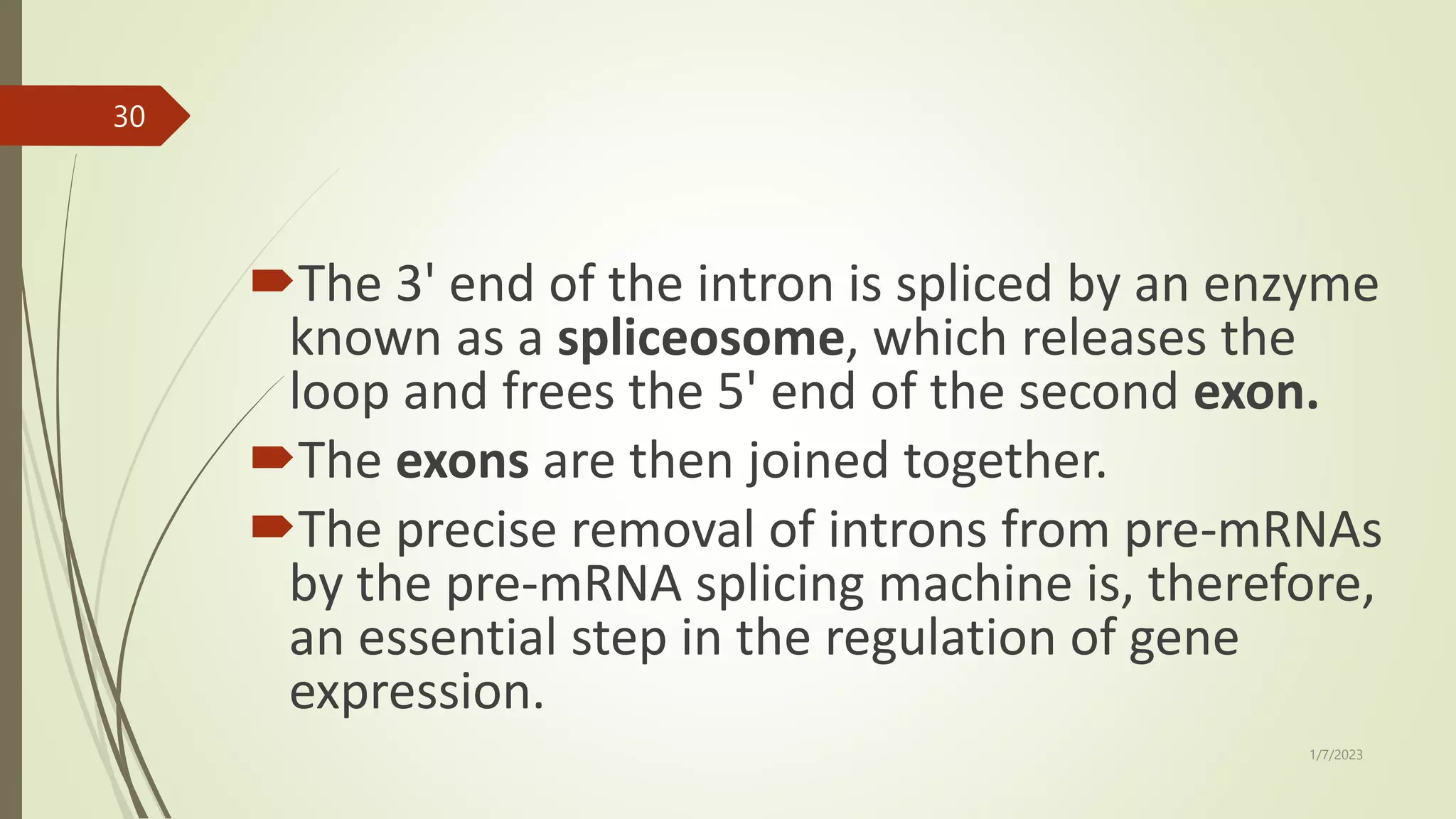 RNA TRANSCRIPTION AND PROCESSING,.pptx