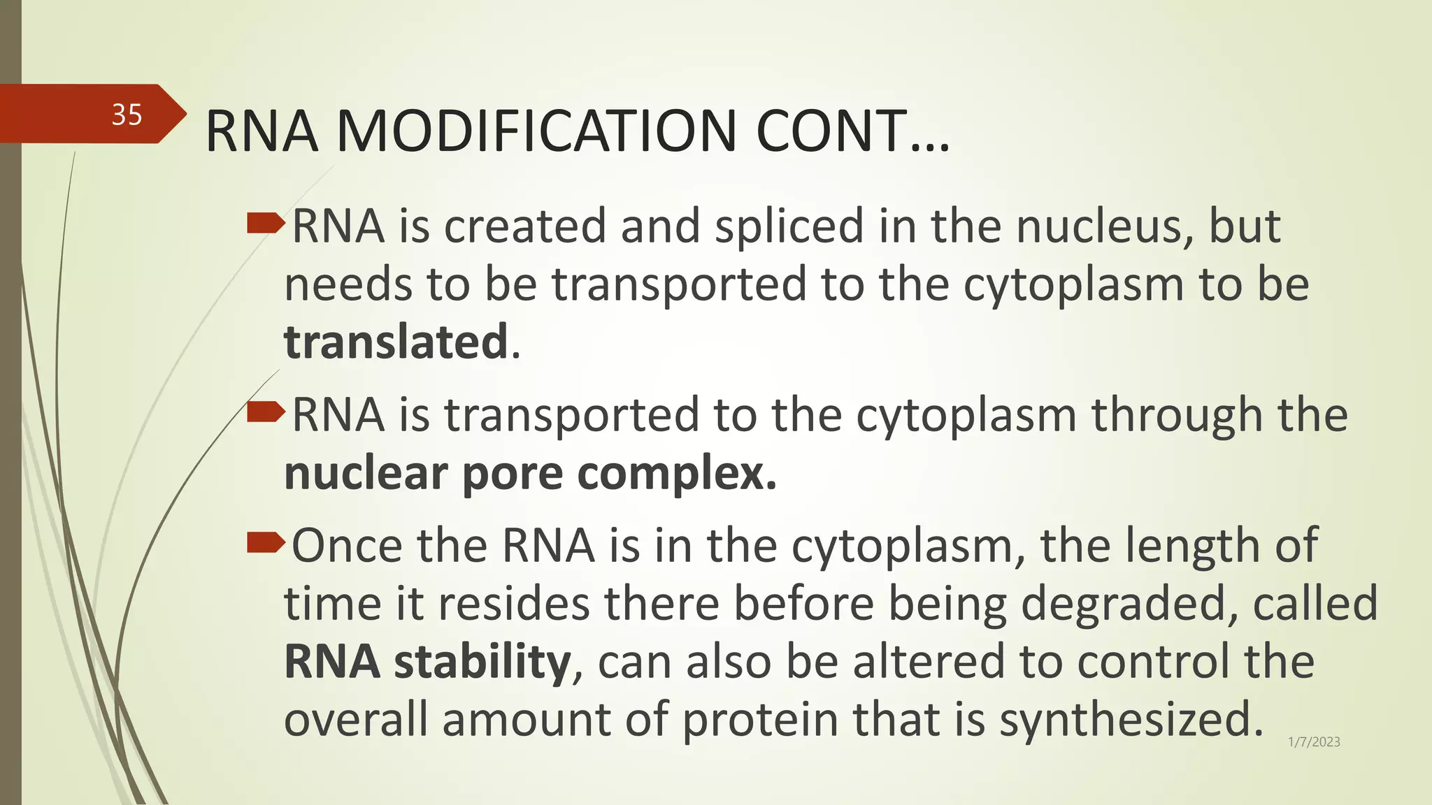 RNA TRANSCRIPTION AND PROCESSING,.pptx