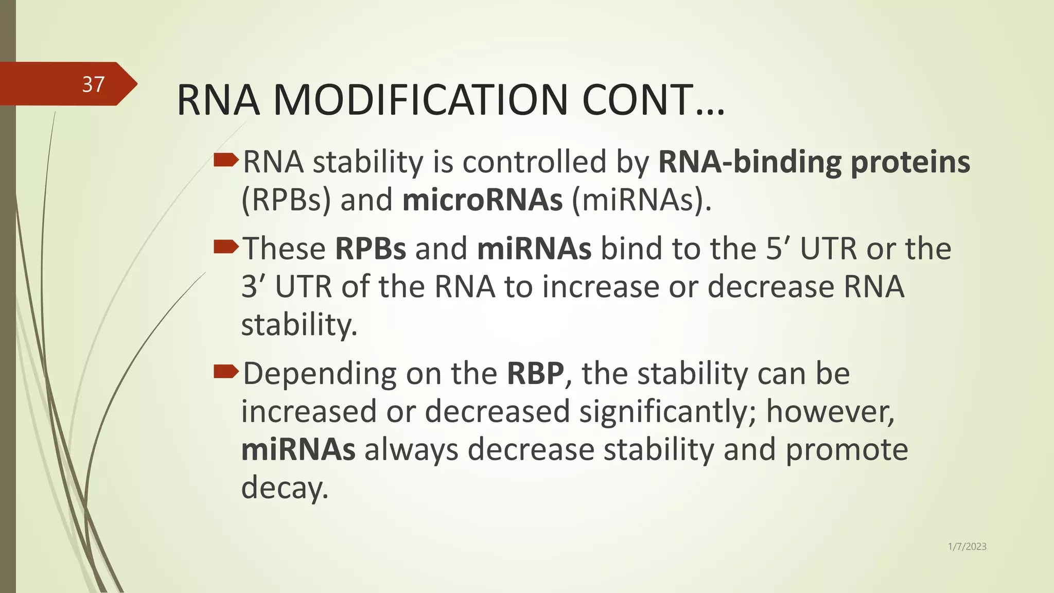 RNA TRANSCRIPTION AND PROCESSING,.pptx