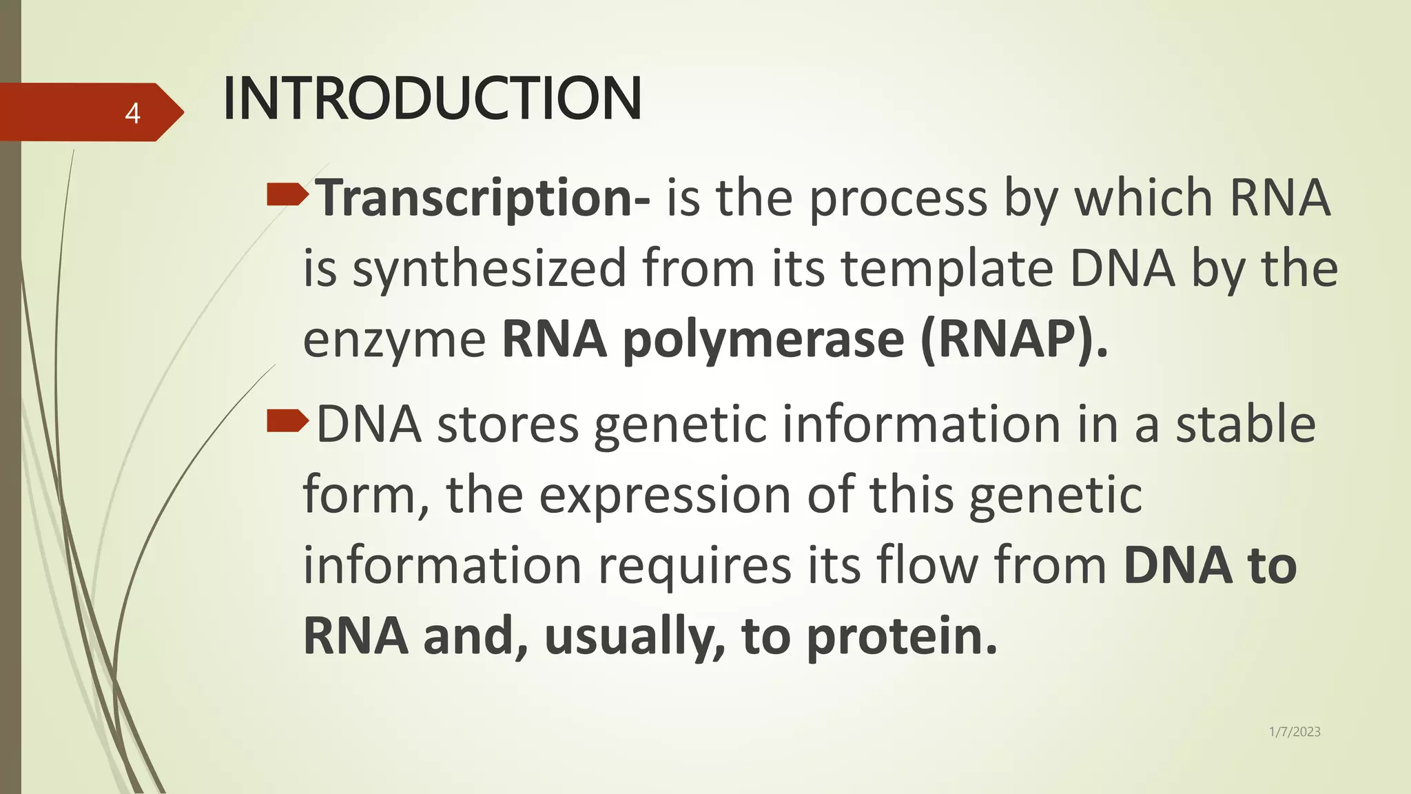 RNA TRANSCRIPTION AND PROCESSING,.pptx