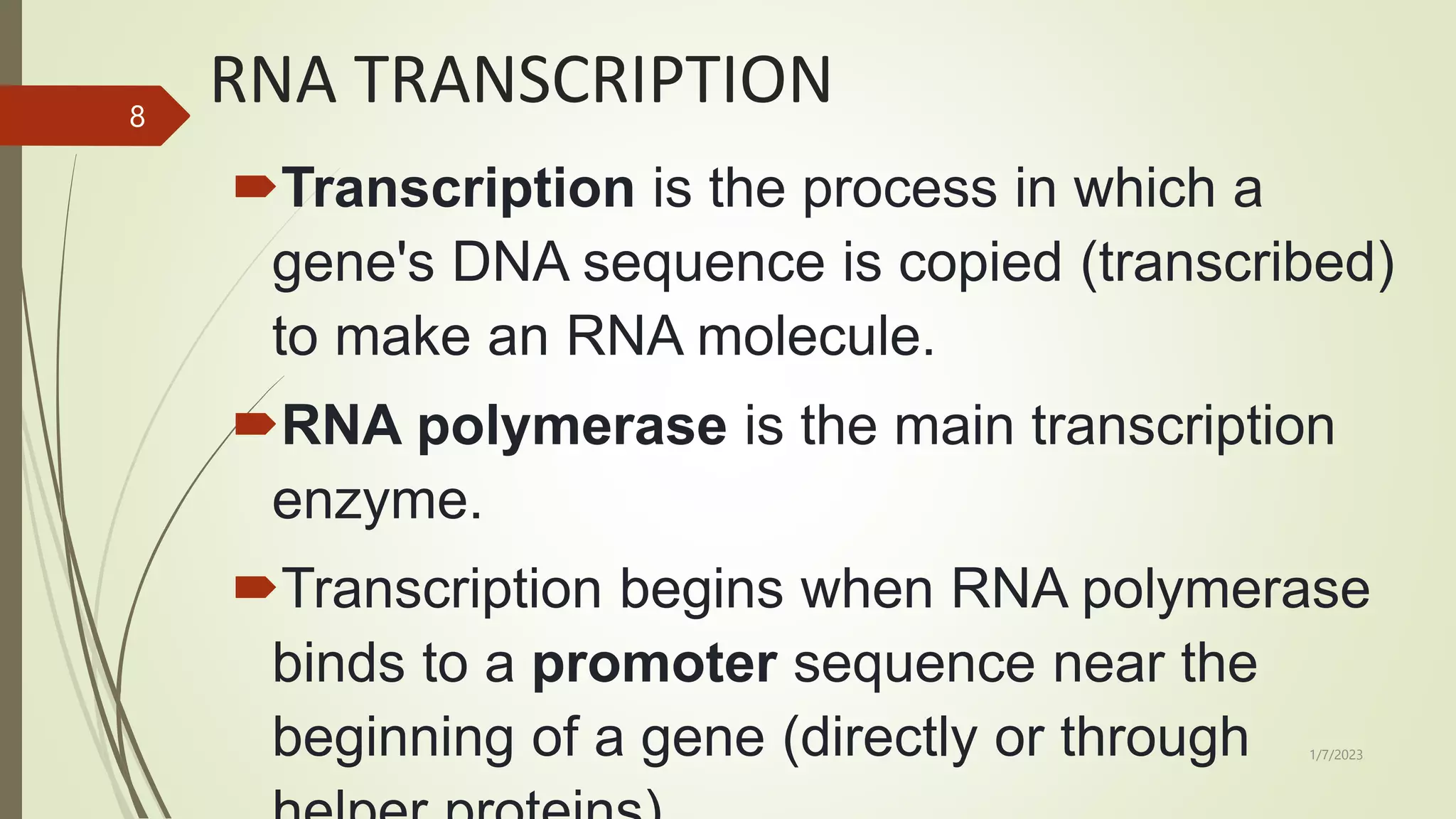 RNA TRANSCRIPTION AND PROCESSING,.pptx