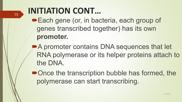 RNA TRANSCRIPTION AND PROCESSING,.pptx