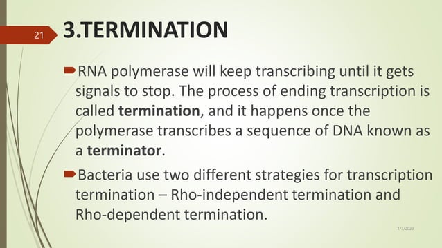 RNA TRANSCRIPTION AND PROCESSING,.pptx