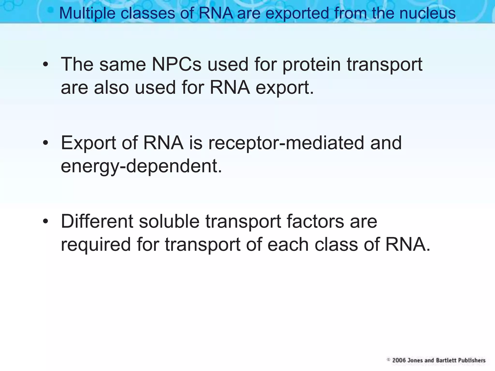 RNA transport.ppt