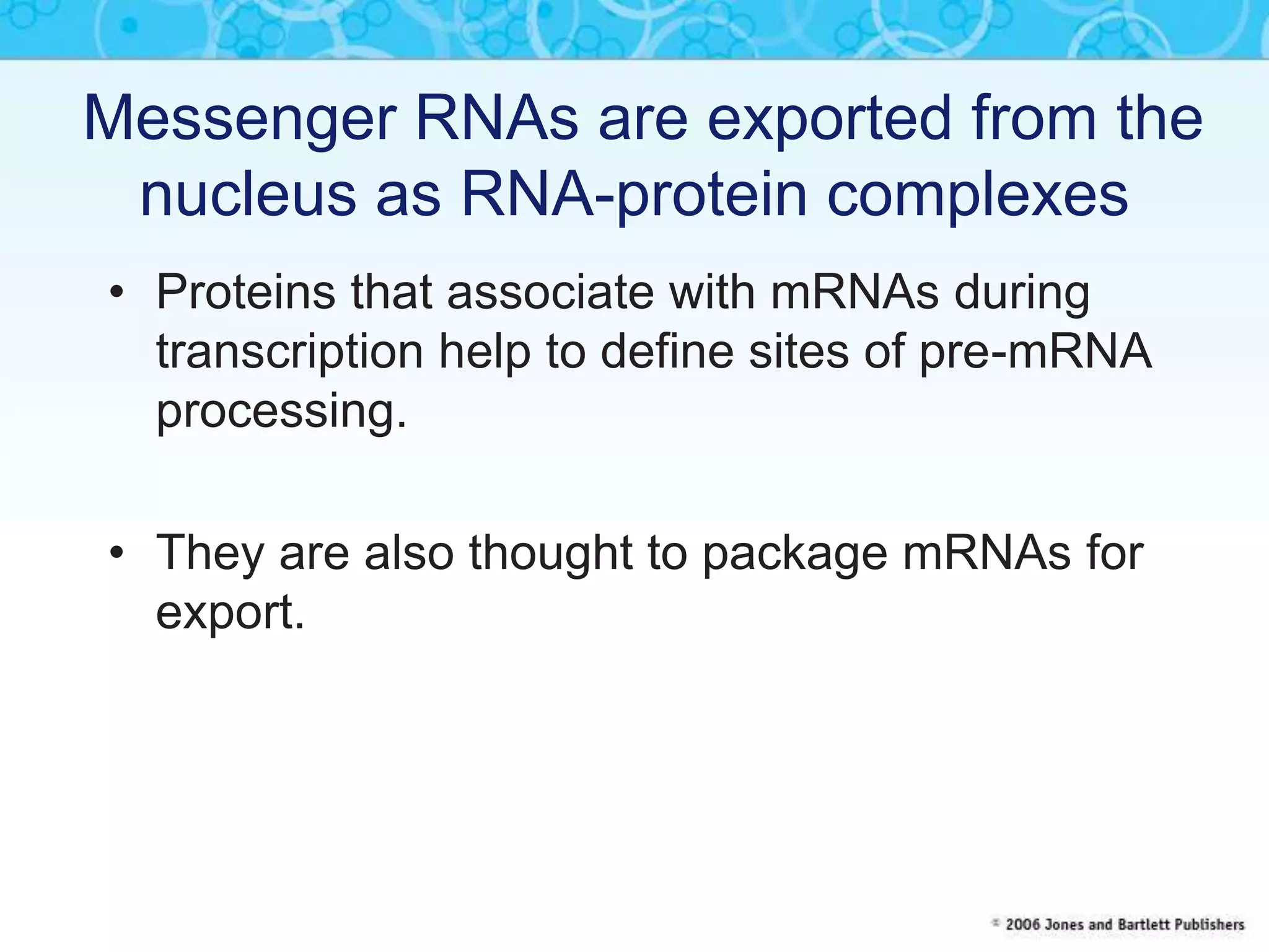RNA transport.ppt
