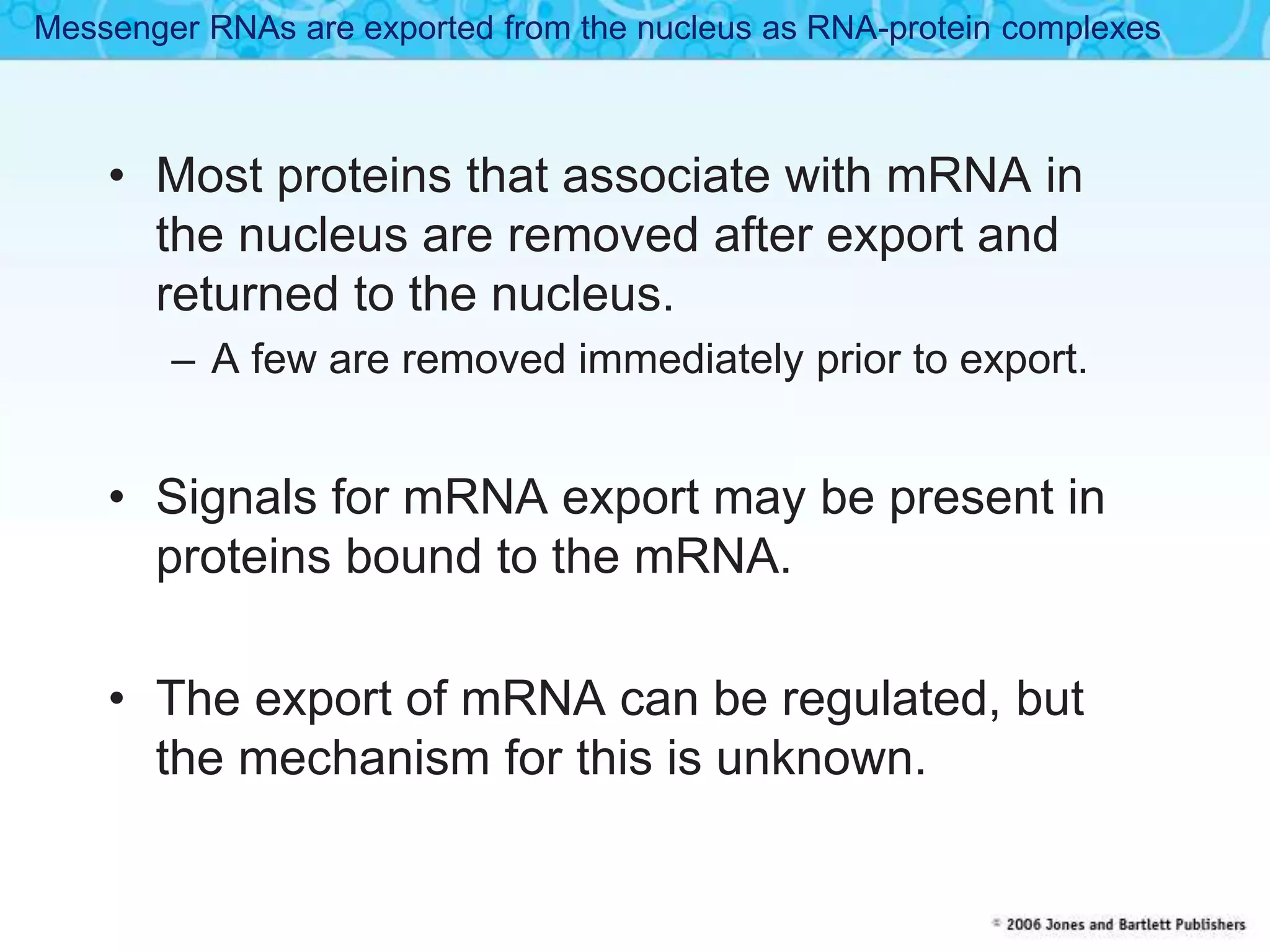 RNA transport.ppt