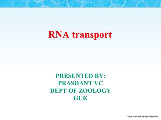 RNA transport.ppt | Genetics | Science